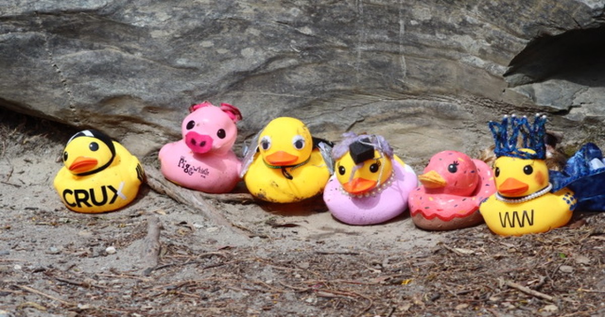 Queenstown duck race benefits local air rescue trust | Crux