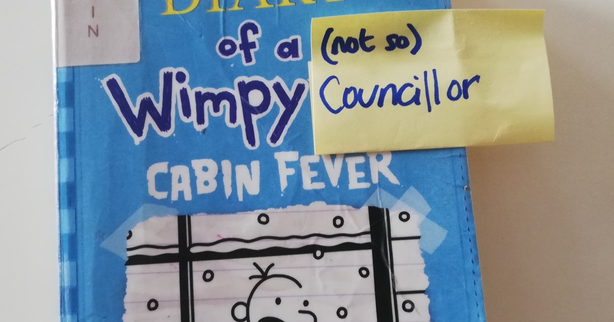 Esther Whitehead - My first two months as a QLDC Councillor | Crux