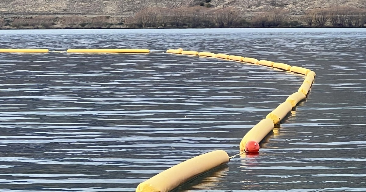 Conversations continue as floating fence blocks off Cromwell bay | Crux