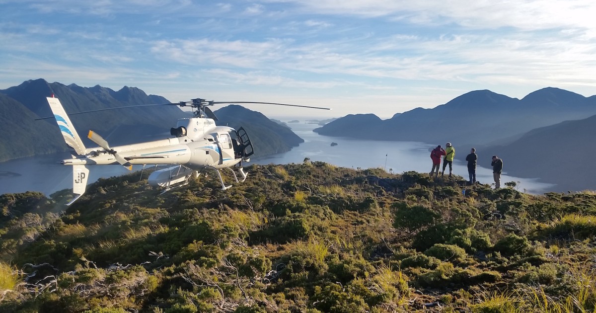 Wayfare Group announces major leadership changes | Crux