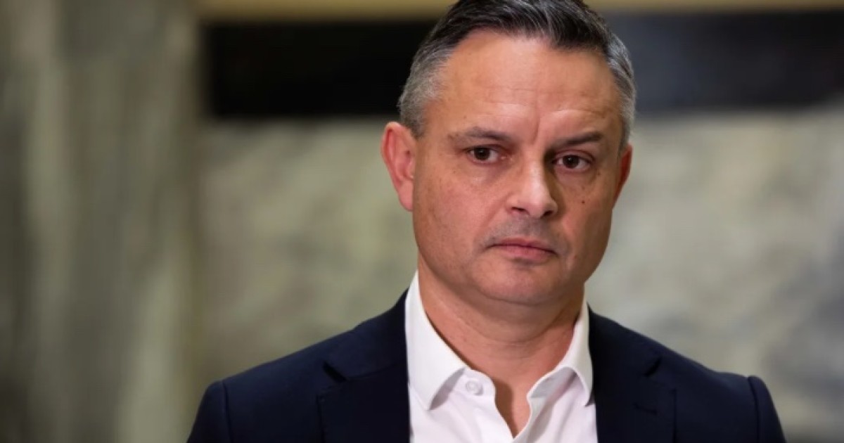 James Shaw resigns as Green Party co-leader | Crux