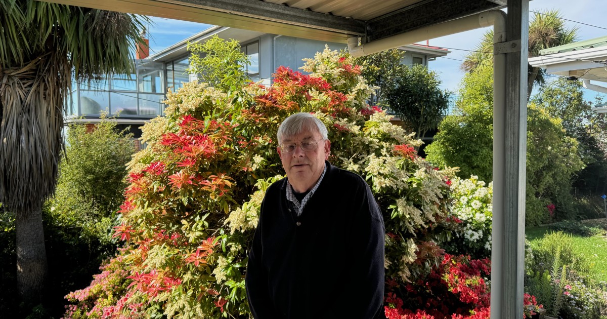 'Blinded by climate change': Dunedin engineer warned of the flooding ...