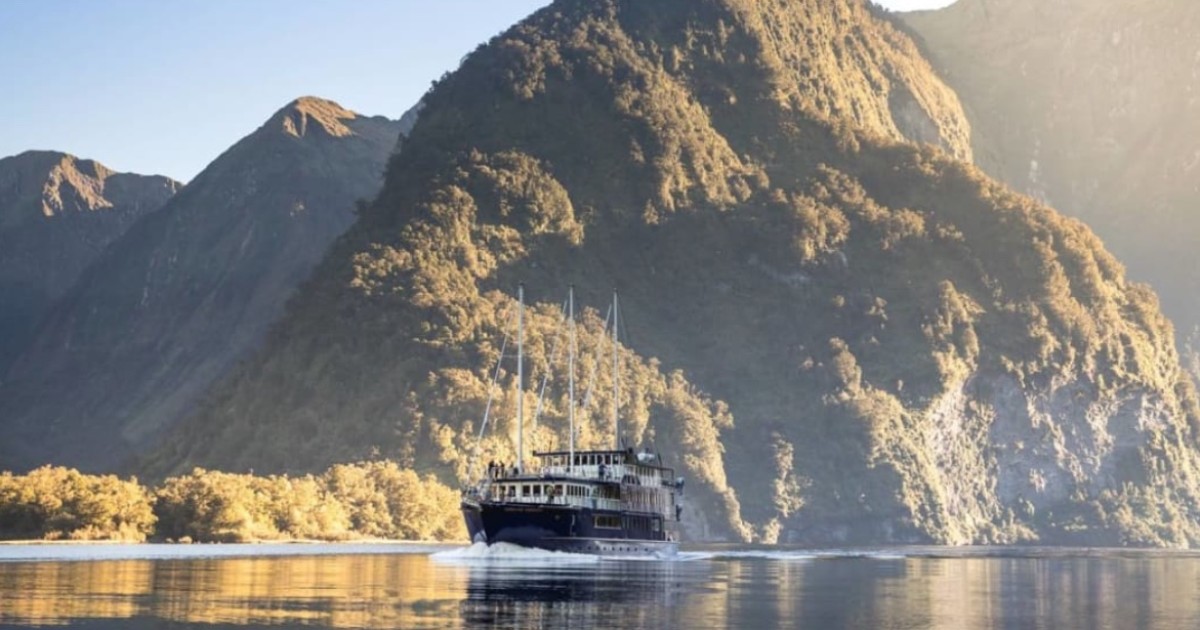 RealNZ cruise ship which ran aground resumes trips | Crux