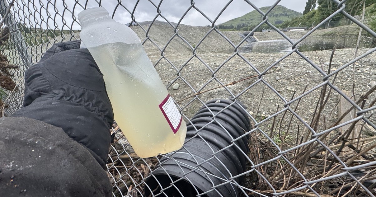 Evidence mounts of 4-year sewage cover up to protect Queenstown ...