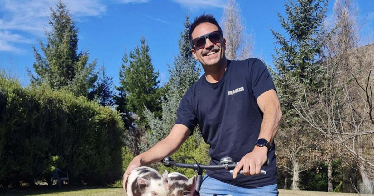 QLDC engineer accused of threatening to throw planning applications in ...