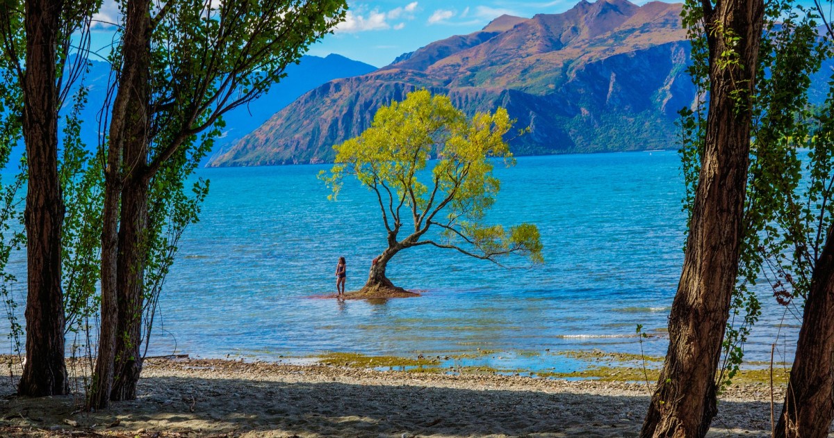 Fund floated so Wānaka holidaymakers can give back | Crux