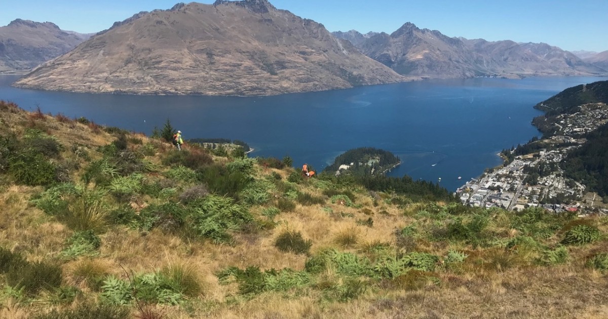 Charity Vote - Wakatipu Wilding Conifer Control Group | Crux