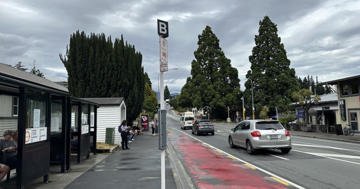 Bus stop loading zones will take too long, no point: QLDC councillor | Crux