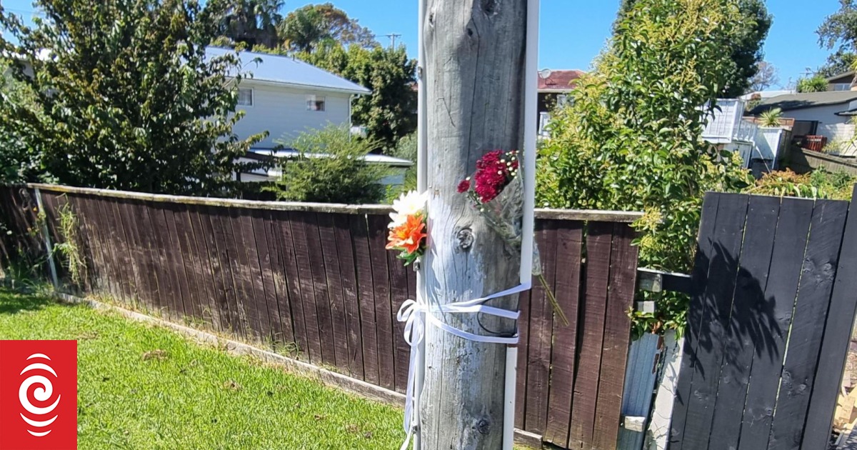 Auckland fatal knife attack: witness shields body with tarpaulin | Crux