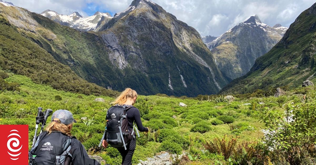 Online stampede crashes Milford Track booking system | Crux