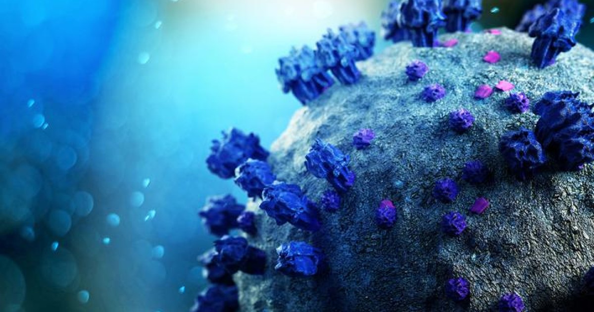 98 new community cases - 88% vaccinated | Crux